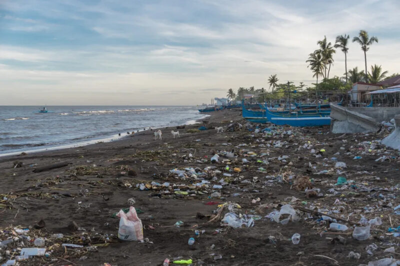 Plastic Waste Pollution - Future Transformation